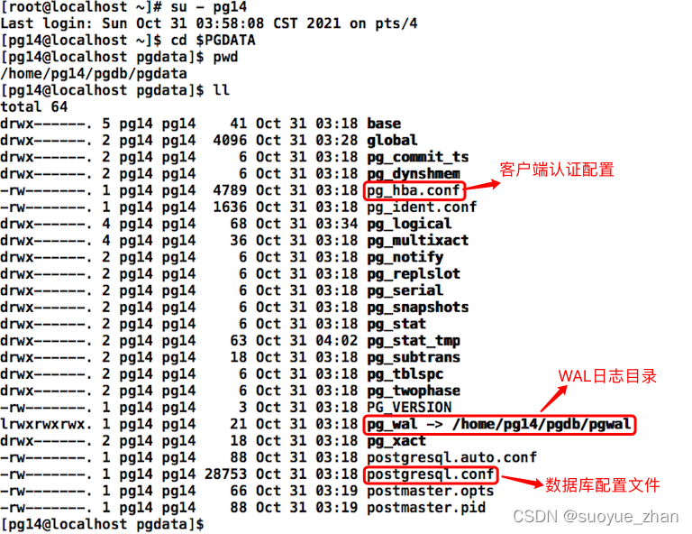 Pg 入门系列 】postgresql的体系结构(三)postgres 查看instance 信息 Csdn博客