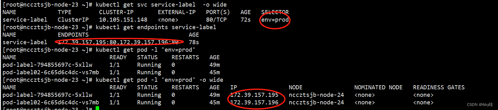 k8s中label和label selector的基本概念及使用方法_labelselector-CSDN博客