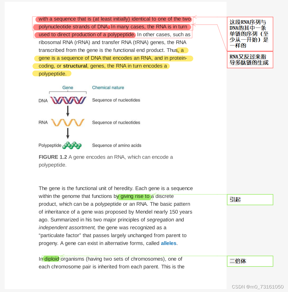 Gene Xii 学习笔记 11 Csdn博客 