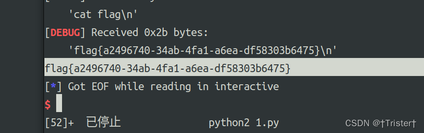 buu pwnable_start 详解-CSDN博客