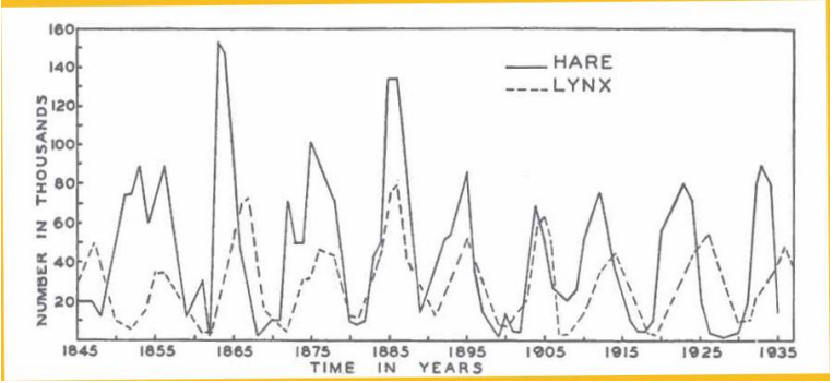 复杂系统学习（三）：ODE模型I：捕食者—猎物_lotka-volterra模型-CSDN博客
