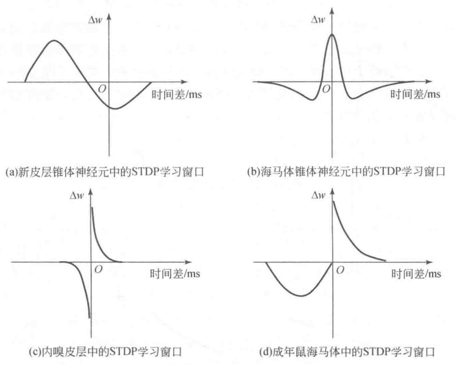 STDP学习机制（使用Brian2仿真）-CSDN博客