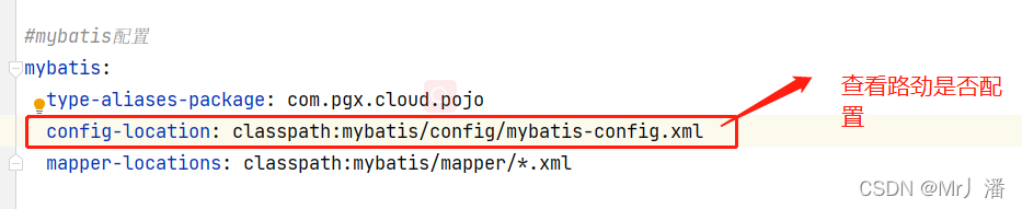 Error Parsing Mapper Xml The Xml Location Is ‘file Xxxxx Cause Javalang