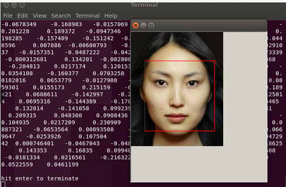 ubantu下 dlib C++的安装和使用_ubuntu上dlib是否安装成功-CSDN博客