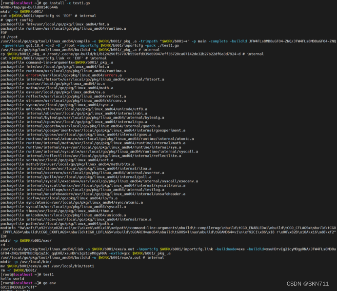 go 程序执行命令_go 执行命令-CSDN博客