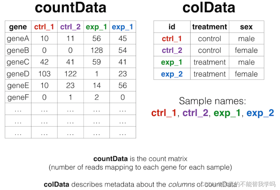 RNAseq分析全过程_rnaseq分析流程-CSDN博客