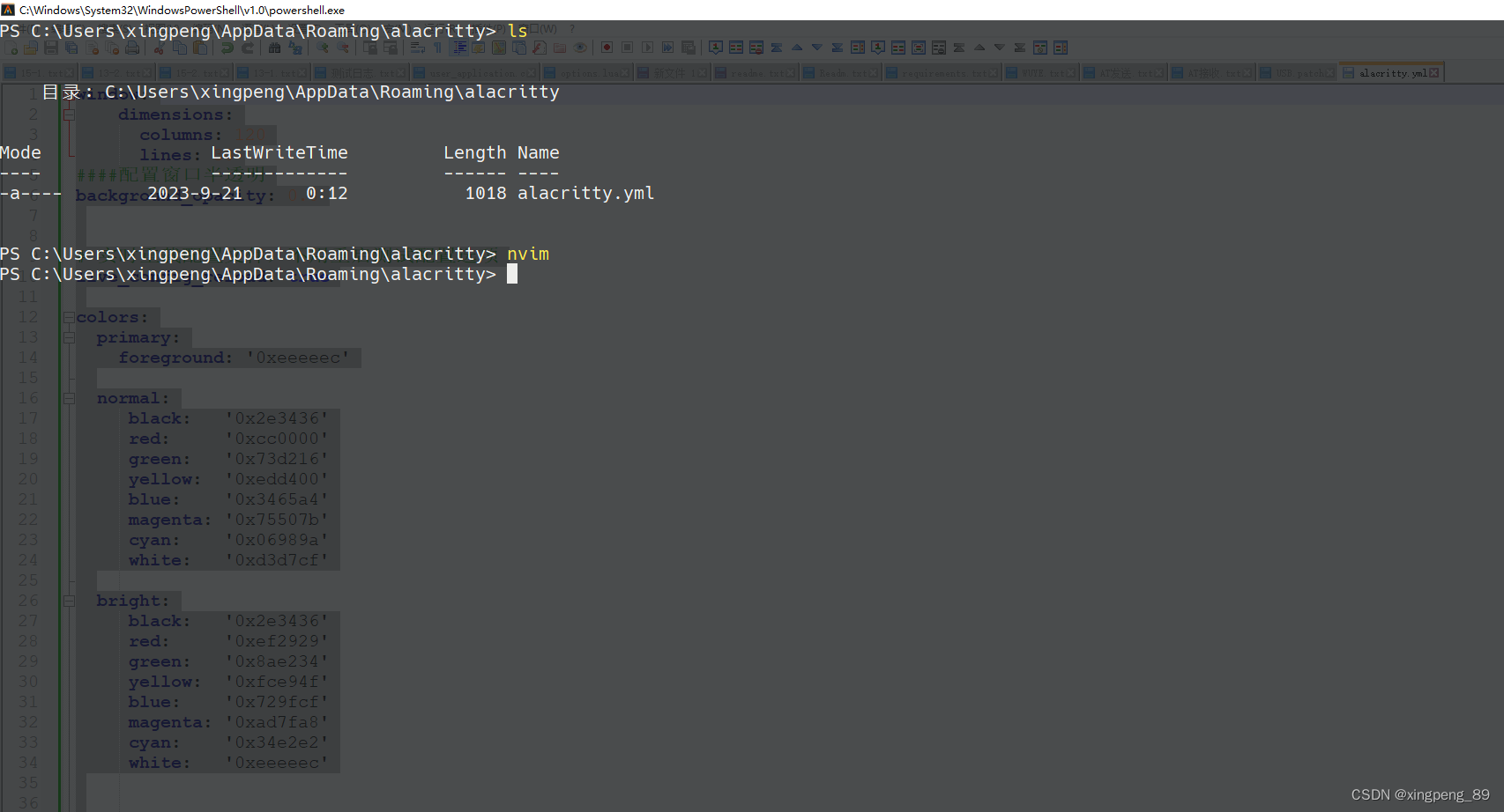 Alacritty终端工具配置_alacritty配置-CSDN博客