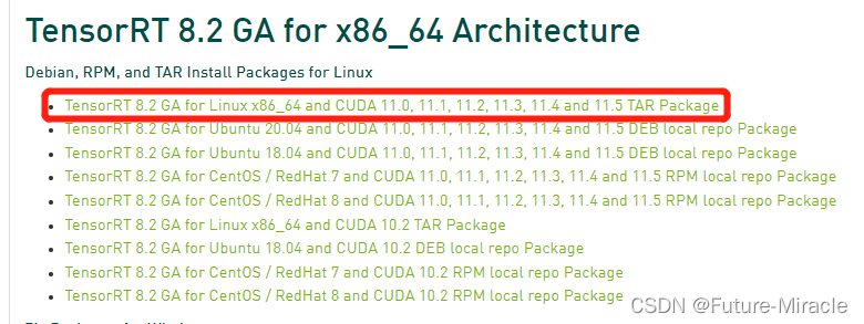 TensorRT8.2.1.8基于Docker容器快速安装_docker安装tensorrt-CSDN博客