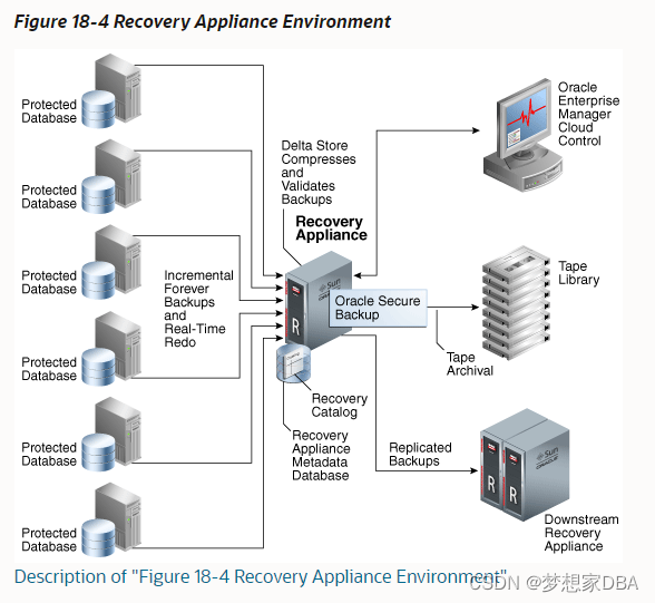 关于 Database Administrators-CSDN博客