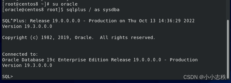 Linux通过rpm安装Oracle19c_oracle19c依赖包下载-CSDN博客