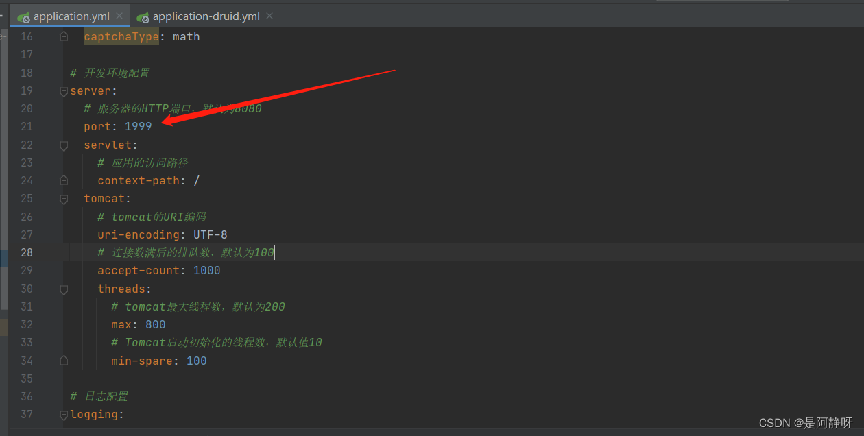 Ruoyi's default port 8080 is occupied, and the front and back end port ...