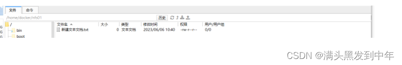 docker搭建NFS服务器（超简单)_docker nfs-CSDN博客