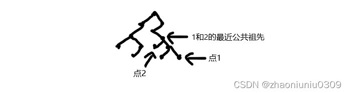 C最近公共祖先lcalca C Csdn博客 