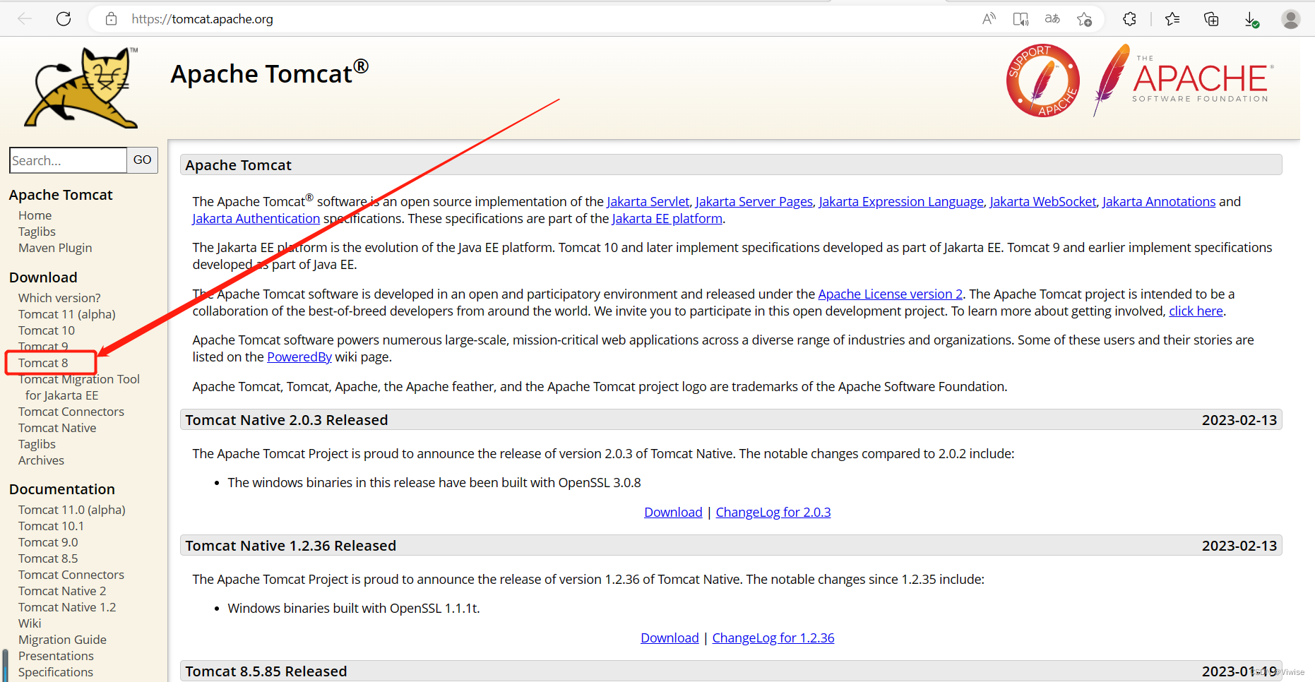 【下载Tomcat旧版本】_tomcat历史版本下载-CSDN博客