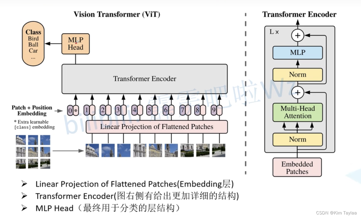 第6周学习：Vision Transformer ；Swin Transformer；ConvNeXt_swin transformer convnext-CSDN博客