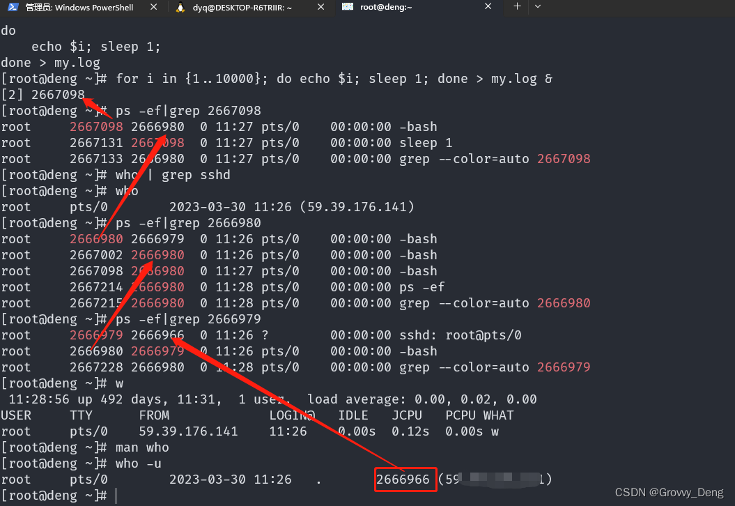 让你的shell在后台运行_后台执行shell-CSDN博客