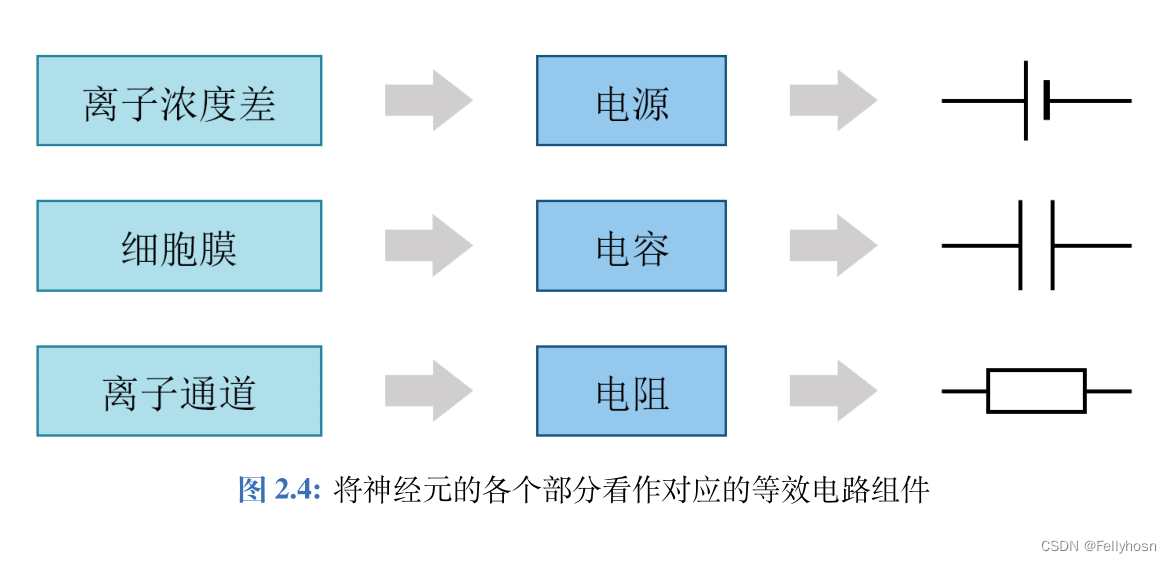 【brainpy学习笔记】神经元的电导模型——以HH模型为例_hh神经元模型原理-CSDN博客