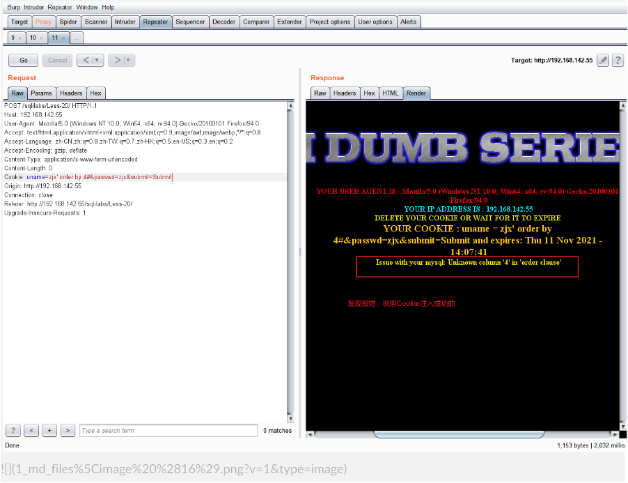 sql注入类型之cookie注入_cookieshaopsql文件-CSDN博客