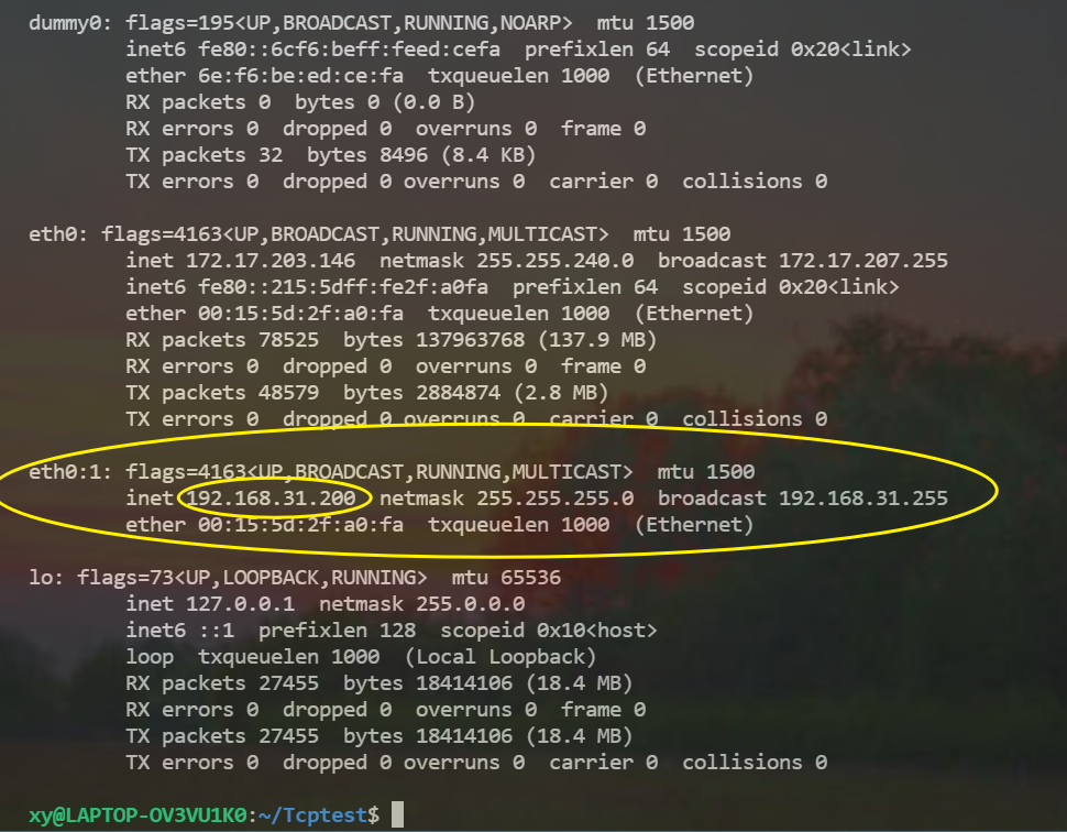 WSL2设置固定ip_wsl ip地址-CSDN博客