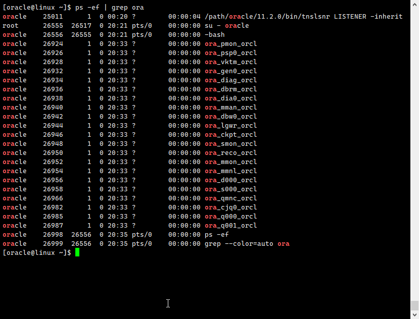 Linux -＞ 安装Oracle(详细版)_linux安装oracle-CSDN博客