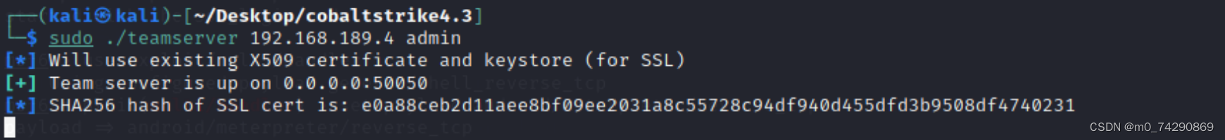 kali下打开cobaltstrike_kali启动cobalt strike客户端-CSDN博客