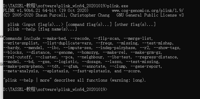 如何运行plink软件--三种方法-CSDN博客