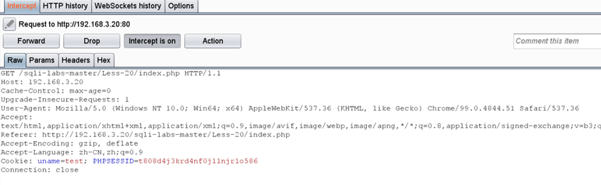 UA头注入Cookie注入Referer注入-CSDN博客