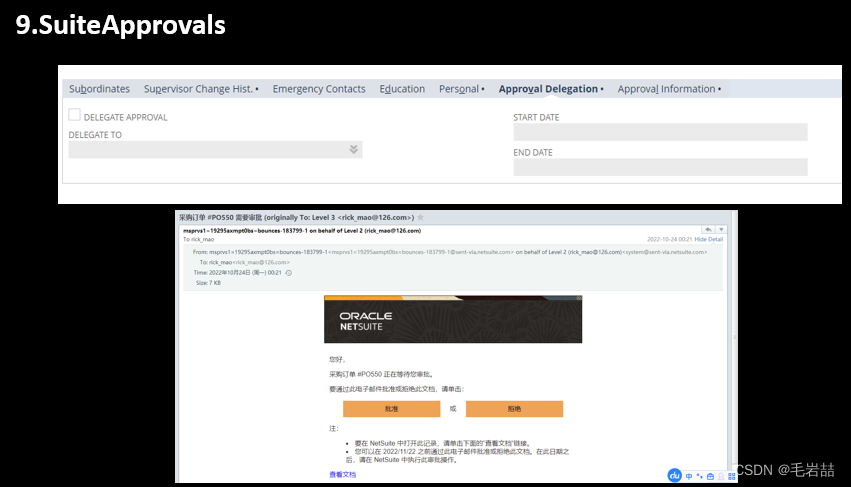 NetSuite知识会 第六谈: SuiteApps—隐秘的功能宝藏_suite apps-CSDN博客