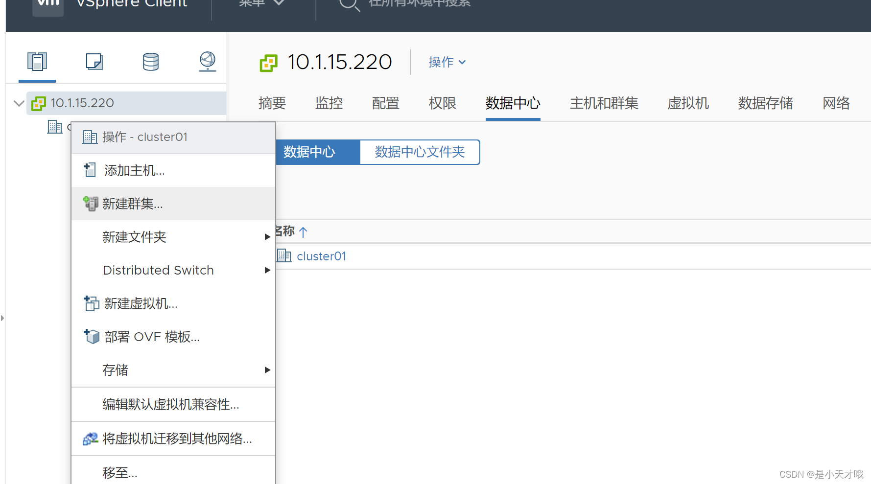 Vcenter server 服务使用-CSDN博客