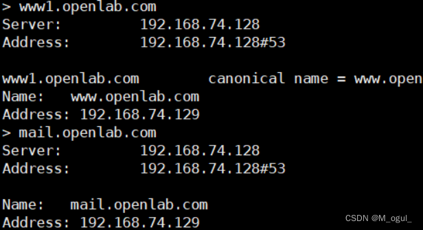 配置dns服务的正反向解析_dns正反向解析设置-CSDN博客