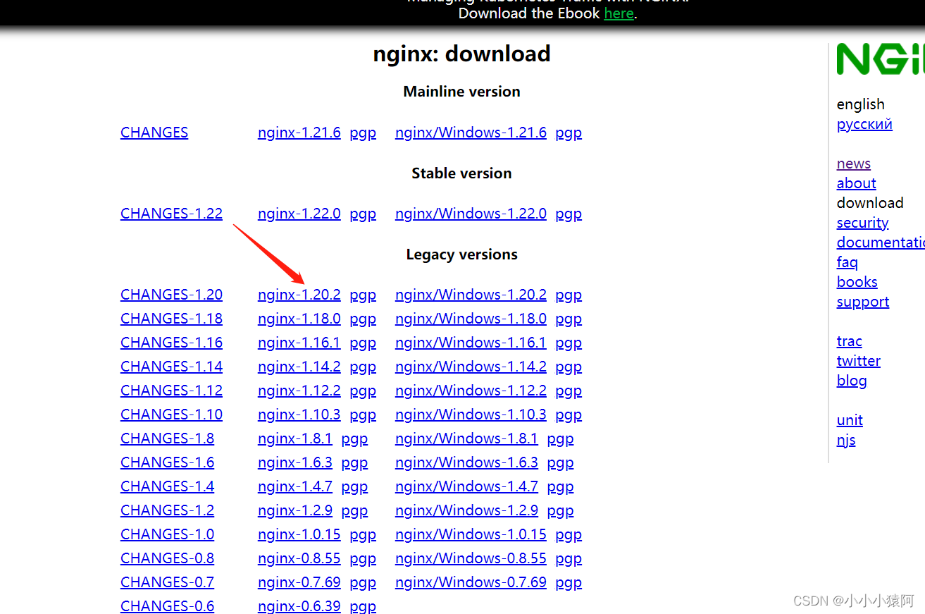 Linux（centos8.0）环境下的SpringBoot项目部署_centos 运行spring boot-CSDN博客