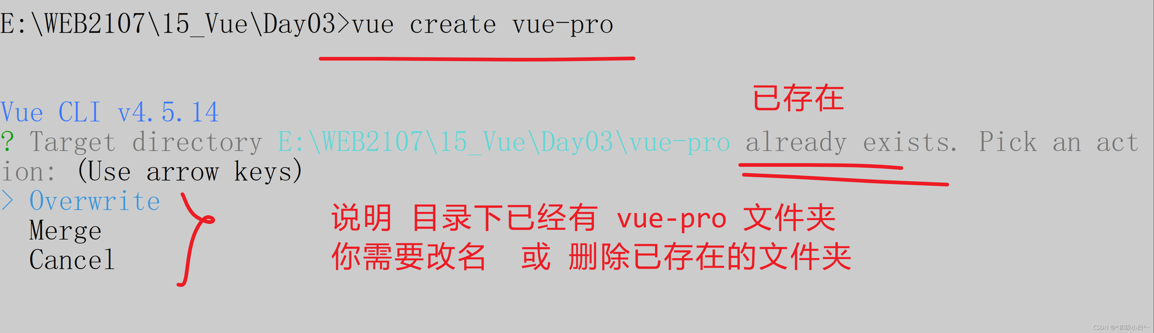Vue脚手架安装vue Force Csdn博客