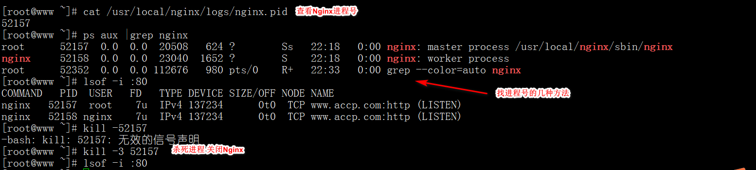 Nginx 编译安装与配置nginx Prefix Csdn博客 