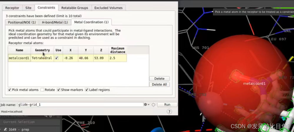 薛定谔教程--生成对接盒子 | Receptor Grid Generation-CSDN博客