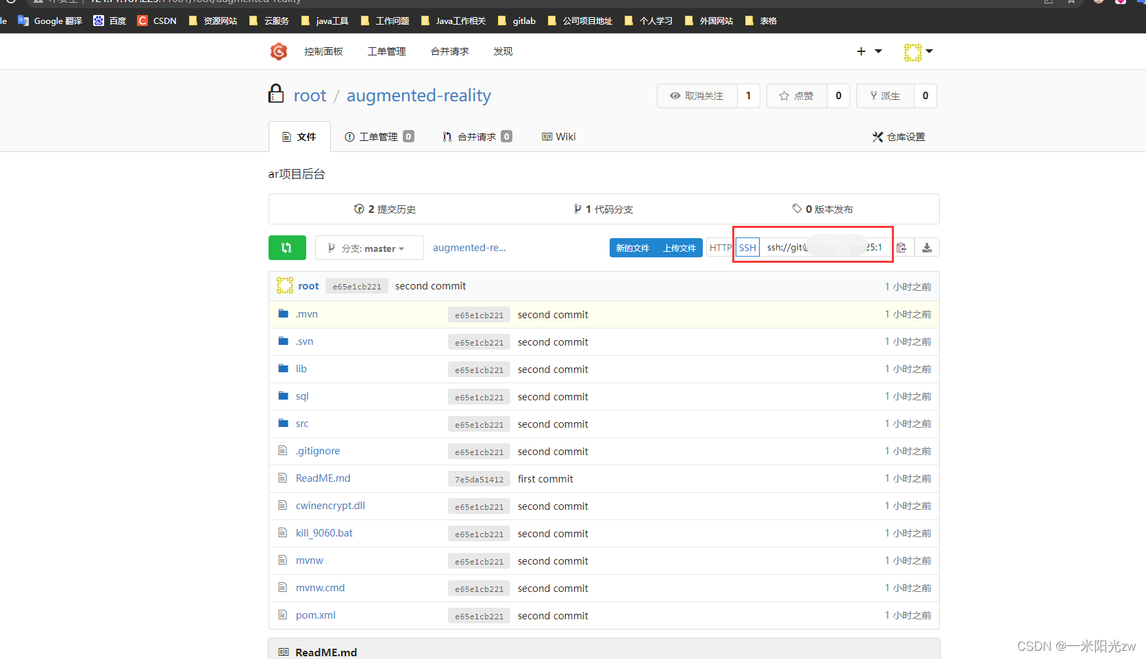 git上传完整项目到gogs上_本地项目上传到gogs-CSDN博客