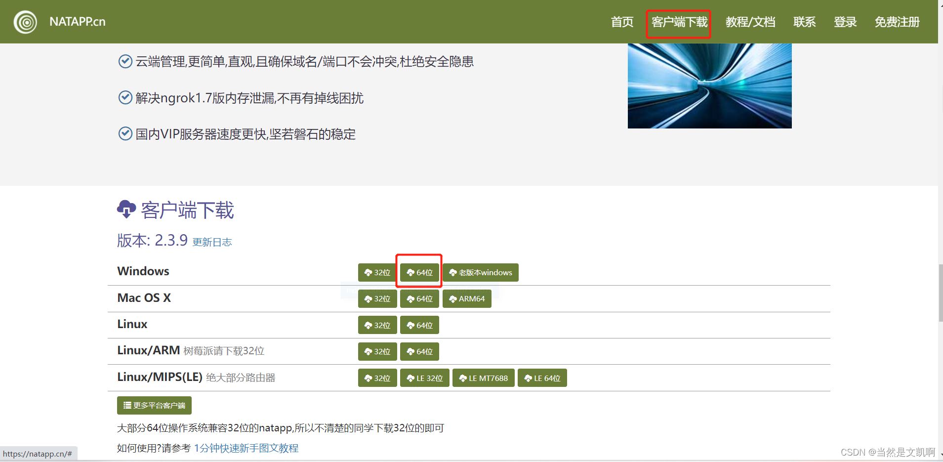 快速搭建web服务并实现内网穿透（利用ngrok和NATAPP）_ngrok如何启动web服务-CSDN博客