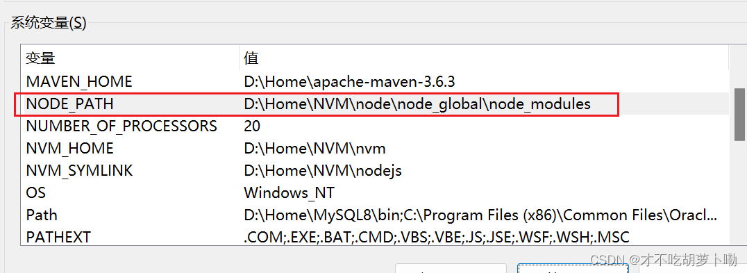 nvm的安装及全局依赖配置（详细）_it's possible that the file was already in use (by-CSDN博客