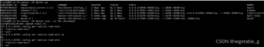 服务启动报错 RedisCommandExecutionException: READONLY You can‘t write against a read only replica ...