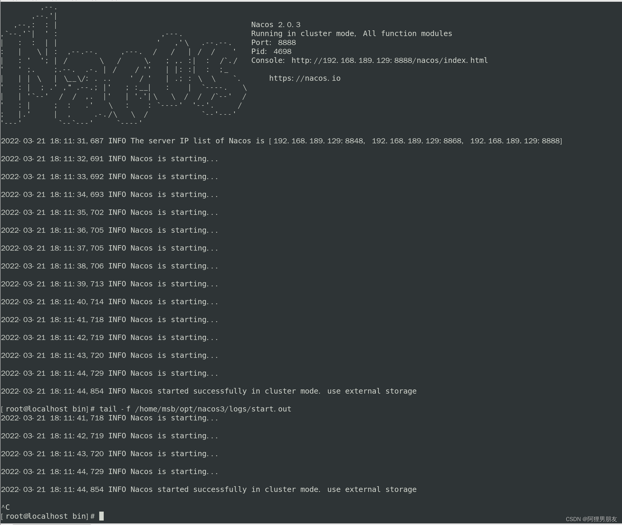 Nacos基础操作_nacos命令-CSDN博客