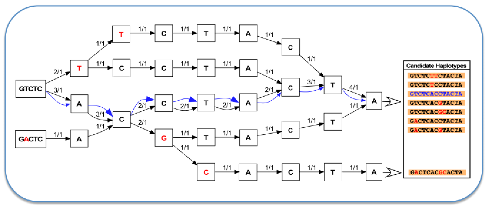 Gatk Haplotypecaller Variation Detection Programmer Sought