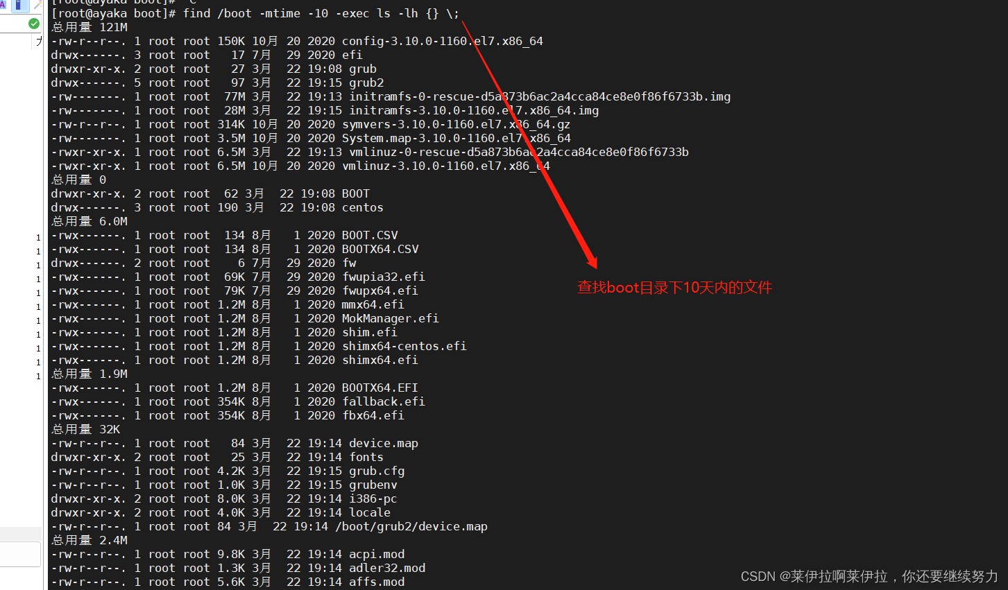 linux命令rm， mv，rename，which，find，whereis，locate，命令执行优先级_linux通过关键字处理文件优先级-CSDN博客