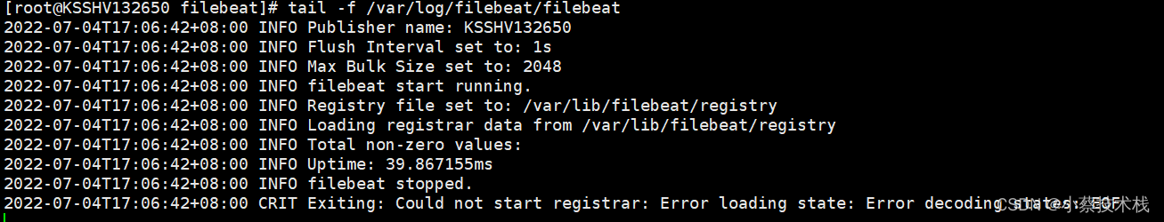 Filebeat 启动失败 报crit Exiting Could Not Start Registrar Error Loading State Error Decoding 