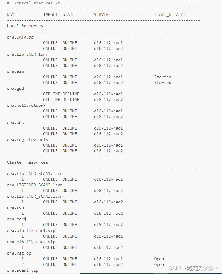 oracle rac问题诊断方法_oracle rac 状态-CSDN博客
