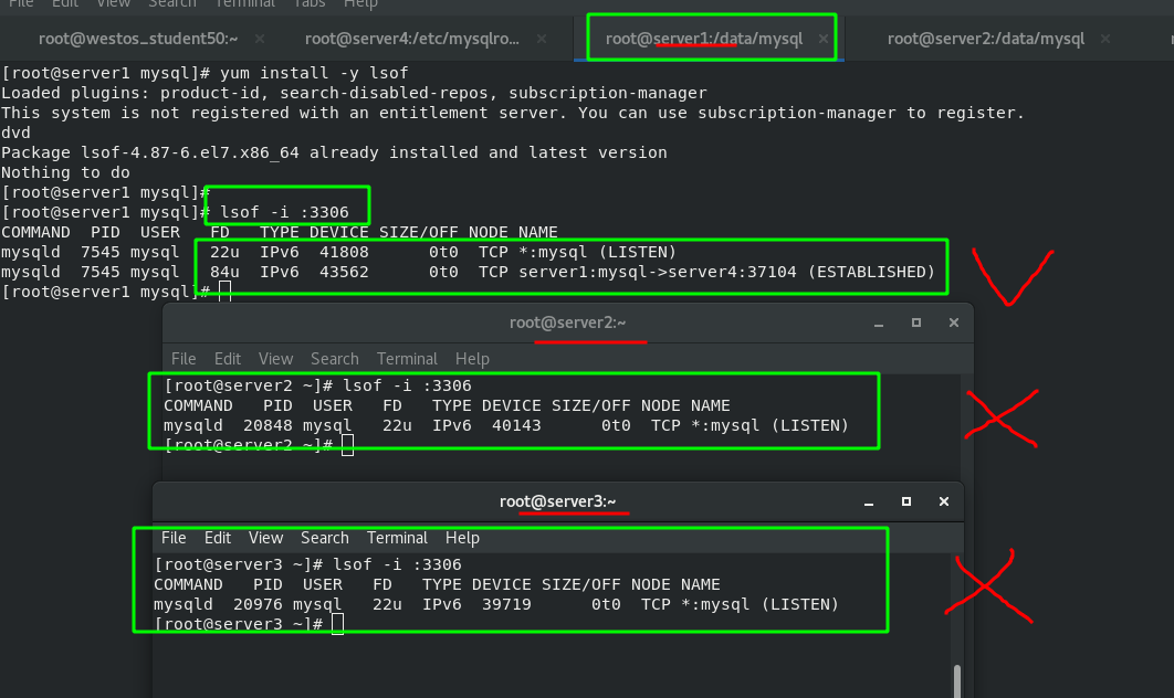 LAMP架构之7——MySQL-Router(读写分离层) – 源码巴士