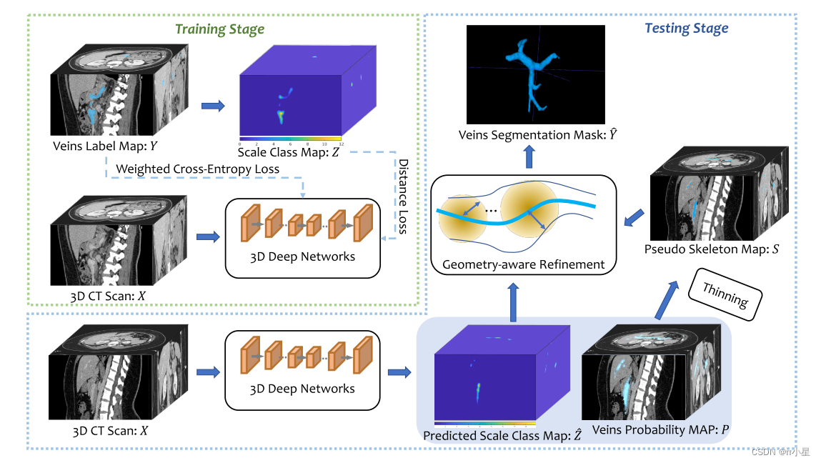 【论文总结】Deep Distance Transform for Tubular Structure Segmentation in CT ...
