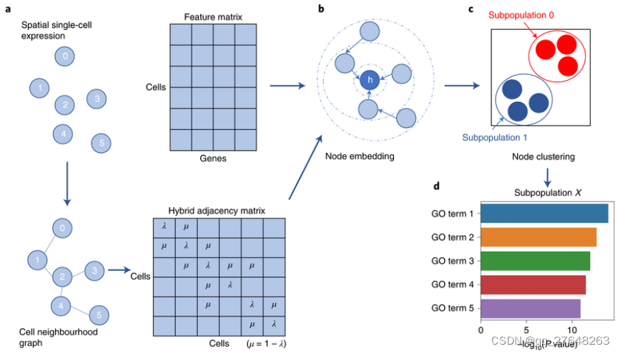 空间转录组 CCST_stlearn 空间转录组-CSDN博客
