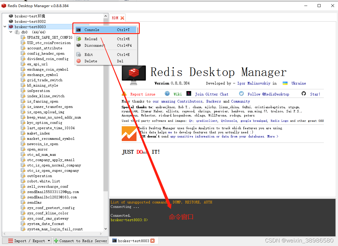 Redis Desktop Manager 使用教程 Csdn博客