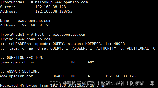 如何配置DNS服务器_活动目录中如何设置dns配置文件-CSDN博客