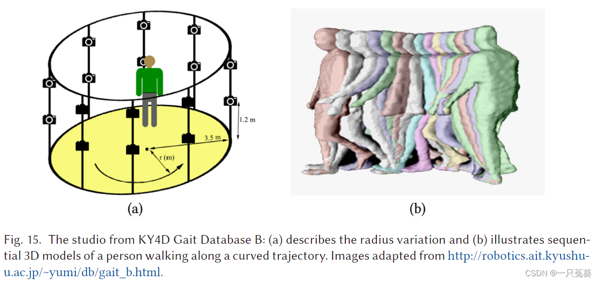 【论文笔记】基于深度学习的步态识别综述《Gait Recognition Based on Deep Learning: A Survey》_步态识别 综述-CSDN博客
