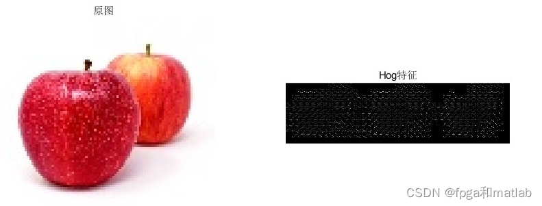 图像HOG特征提取_提取图像hog特征的步骤-CSDN博客